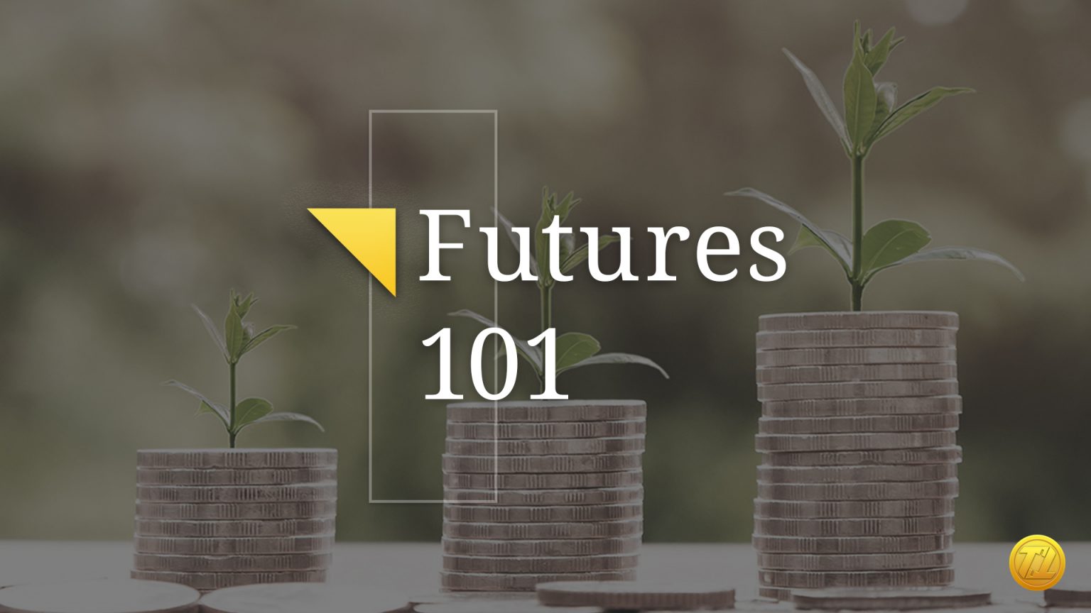 At Platinum Trading Solutions get full information about trading futures 101.